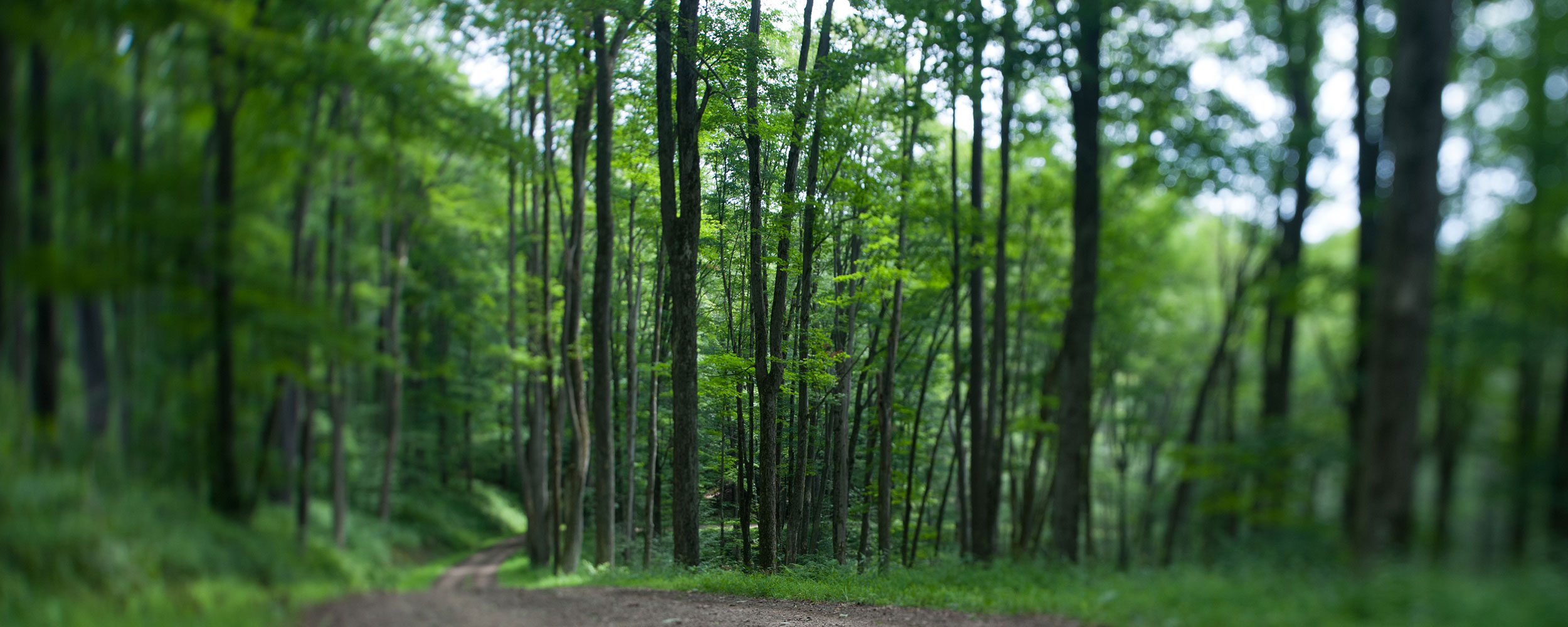 Unplug In Nature - Glendorn